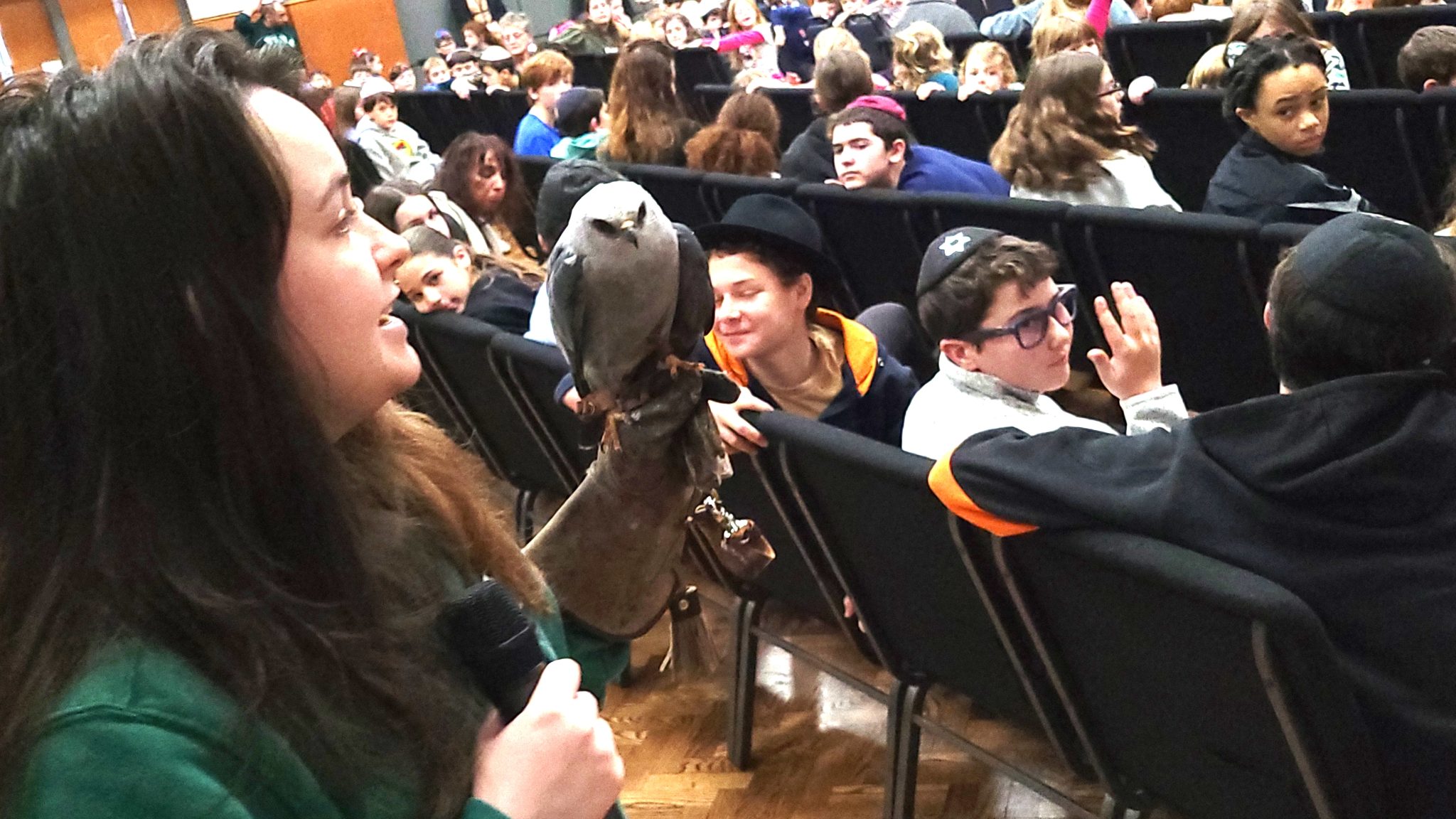 Birds, berries, and bok choy mark this year’s Tu B’Shvat celebration ...